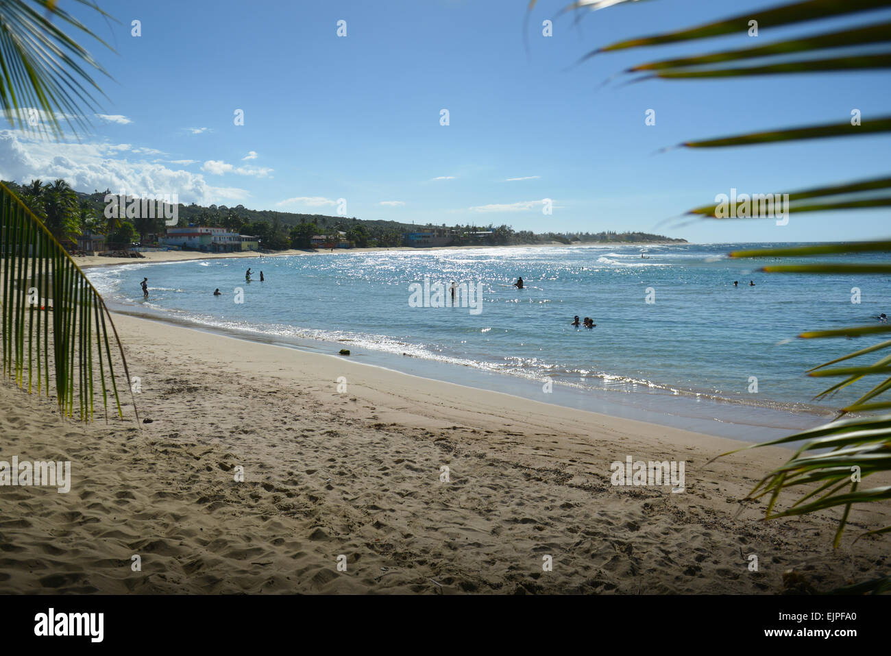 Jobos puerto rico hi-res stock photography and images - Alamy