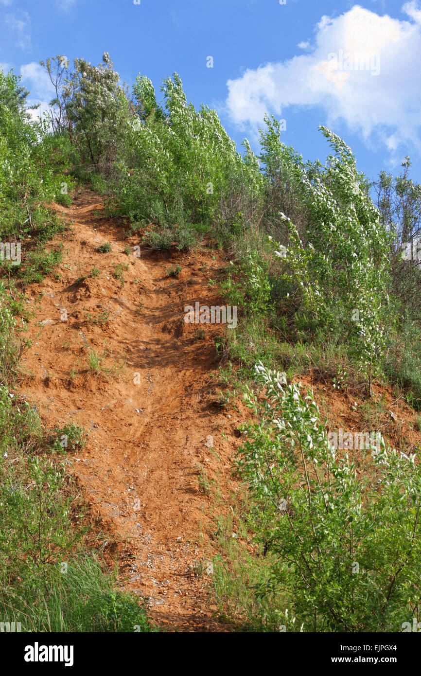 Landslide forest hi-res stock photography and images - Alamy
