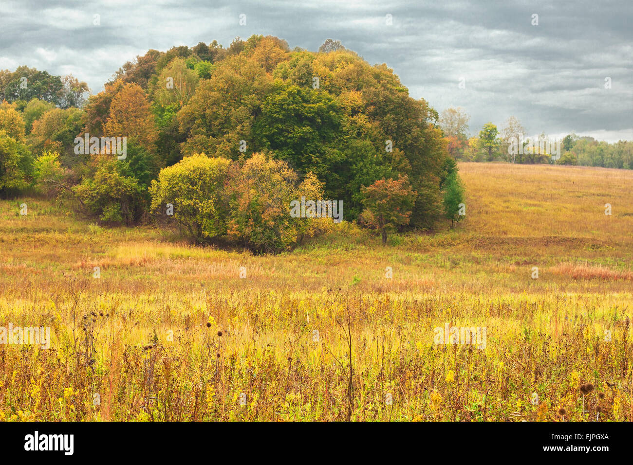 Before a rain hi-res stock photography and images - Alamy