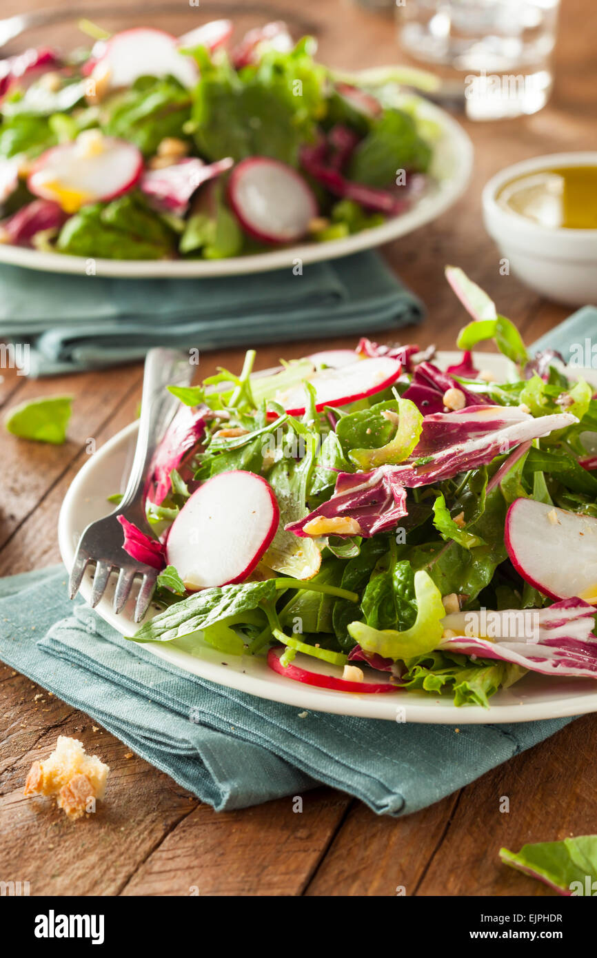 Healthy Homemade Herb Salad with Greens and Veggies Stock Photo - Alamy