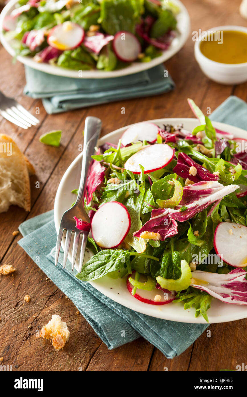 Healthy Homemade Herb Salad with Greens and Veggies Stock Photo - Alamy