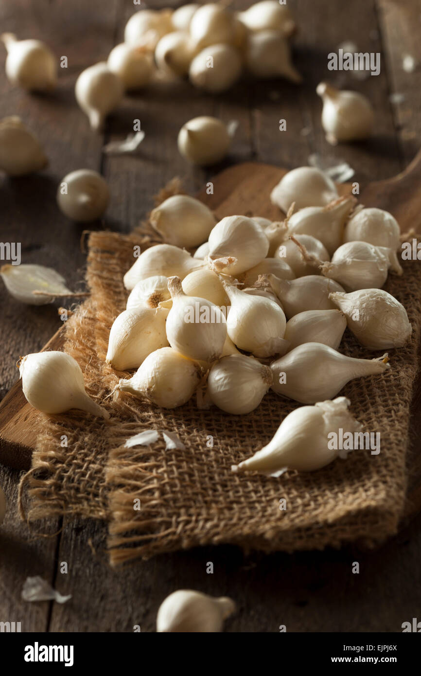 Pearl onion hi-res stock photography and images - Alamy