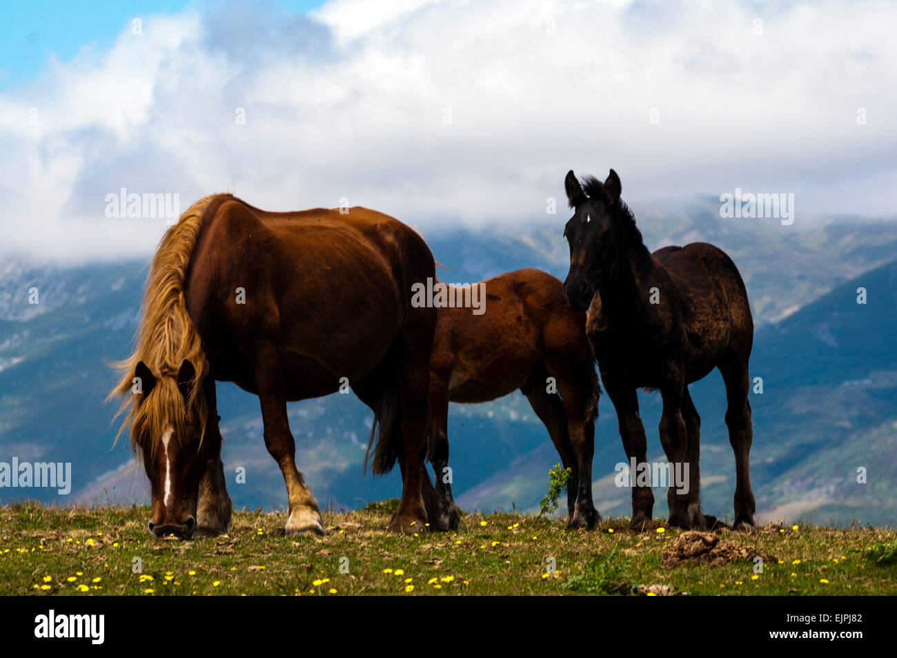 Paisaje paisajes paisajes paisajes hi-res stock photography and images ...