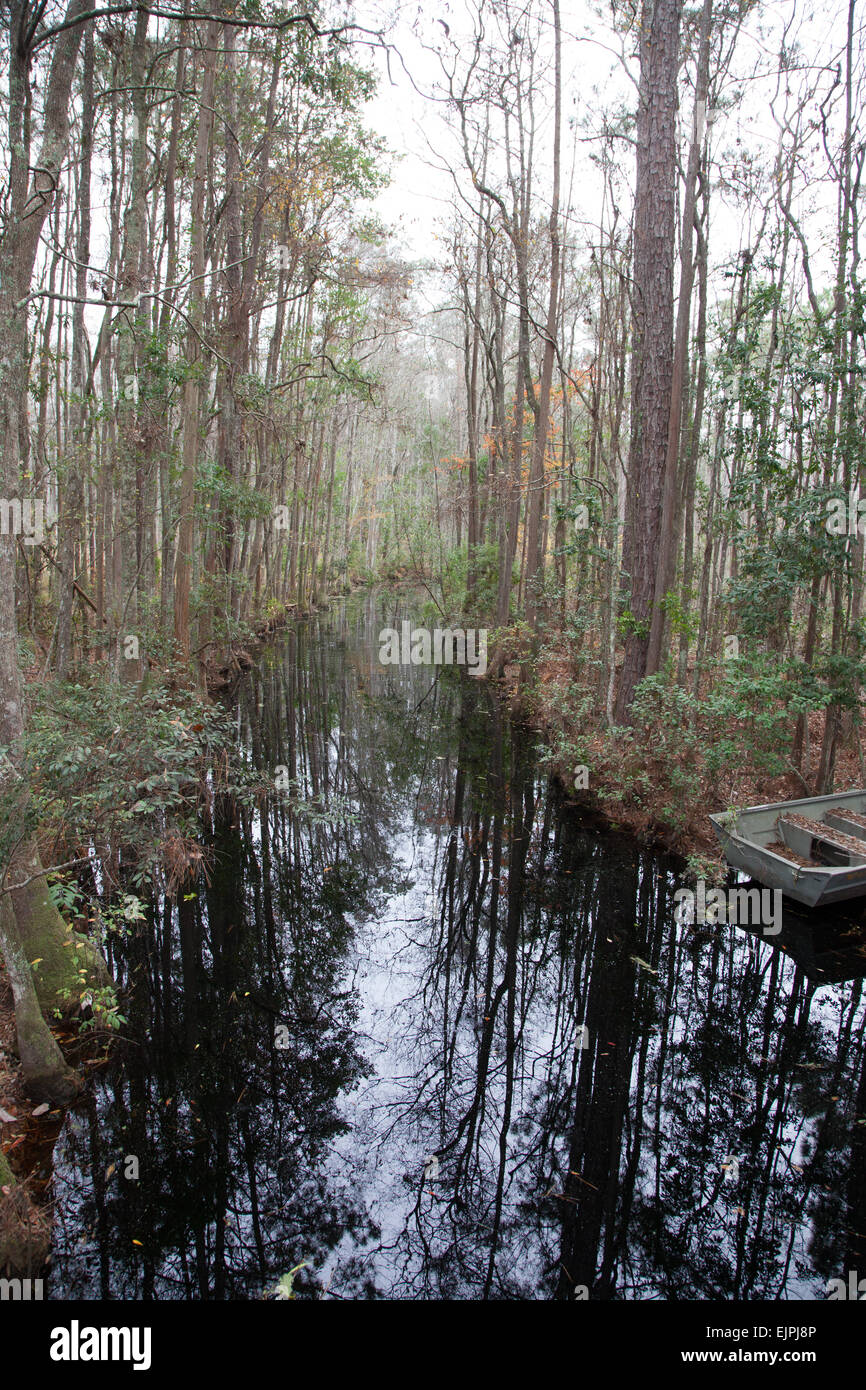 Still swamp water reflecting trees and Spanish Moss Stock Photo - Alamy