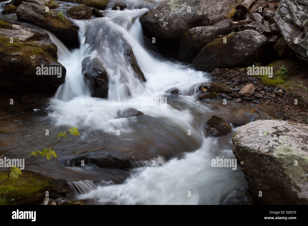 Water cascading by moss covered stones Stock Photo - Alamy