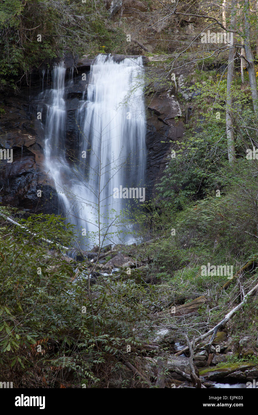 Refreshing nature in woods hi-res stock photography and images - Alamy