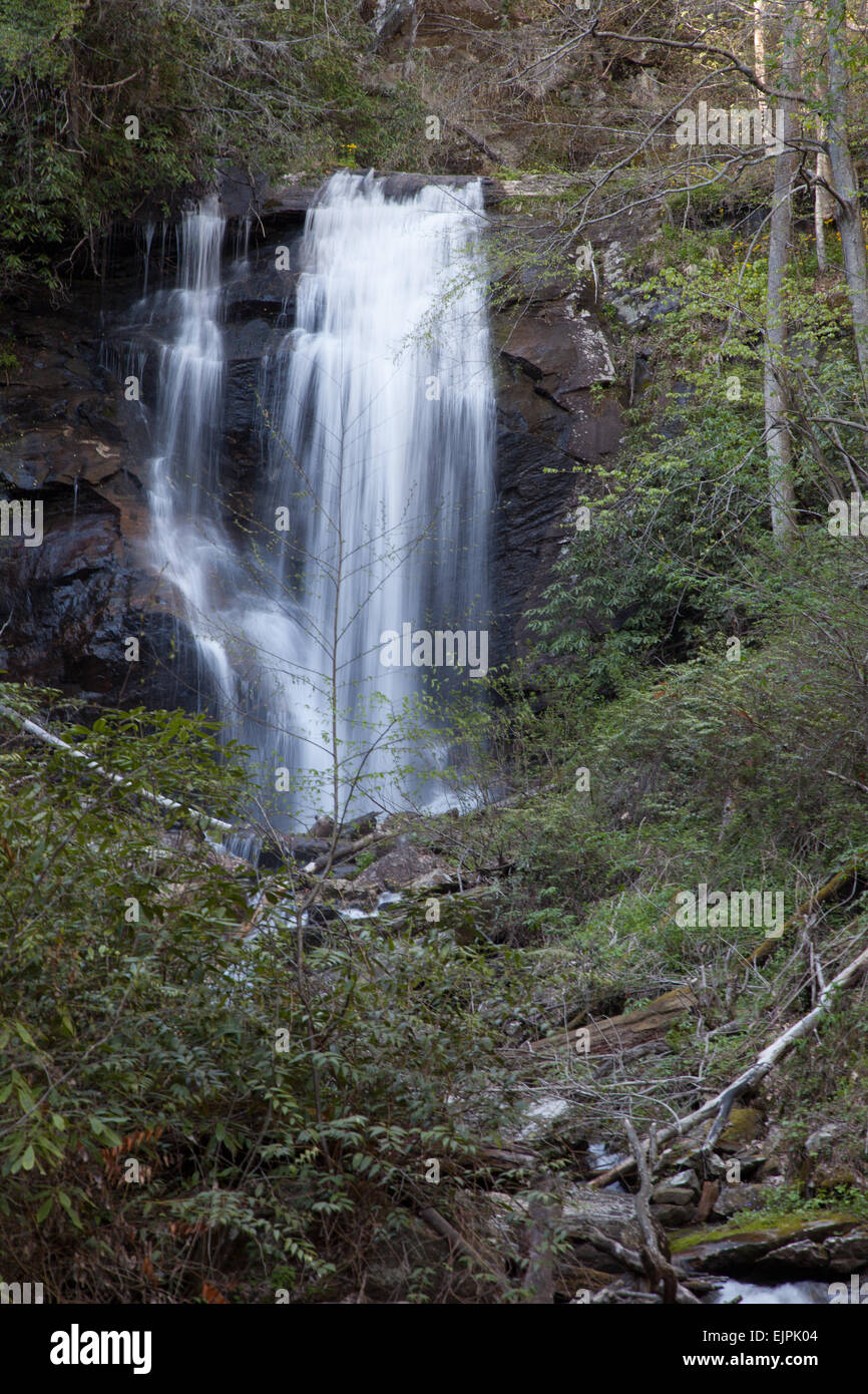Refreshing nature in woods hi-res stock photography and images - Alamy