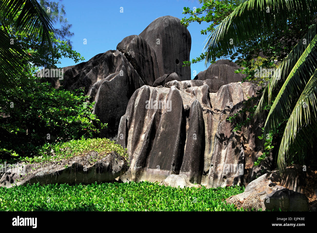 Beautiful enormous black granite rocks in the thickets of tropical ...