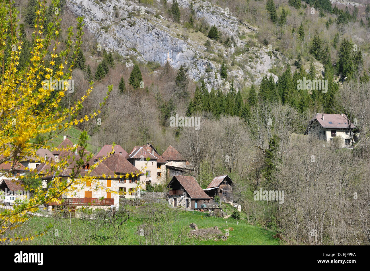 Little village forest hi-res stock photography and images - Alamy