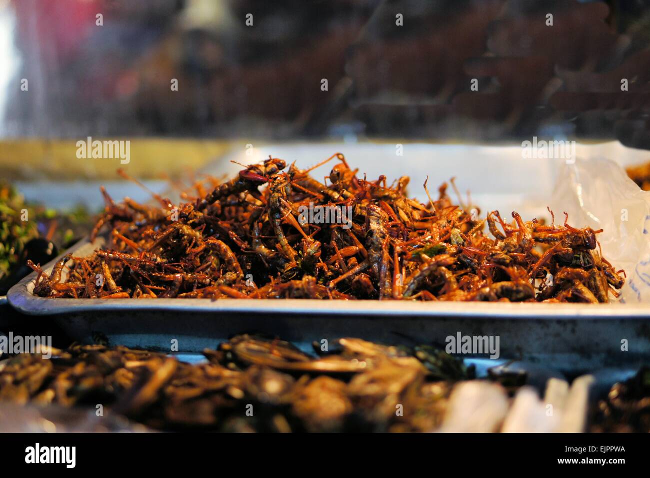 Fried grasshoppers thailand hi-res stock photography and images - Alamy