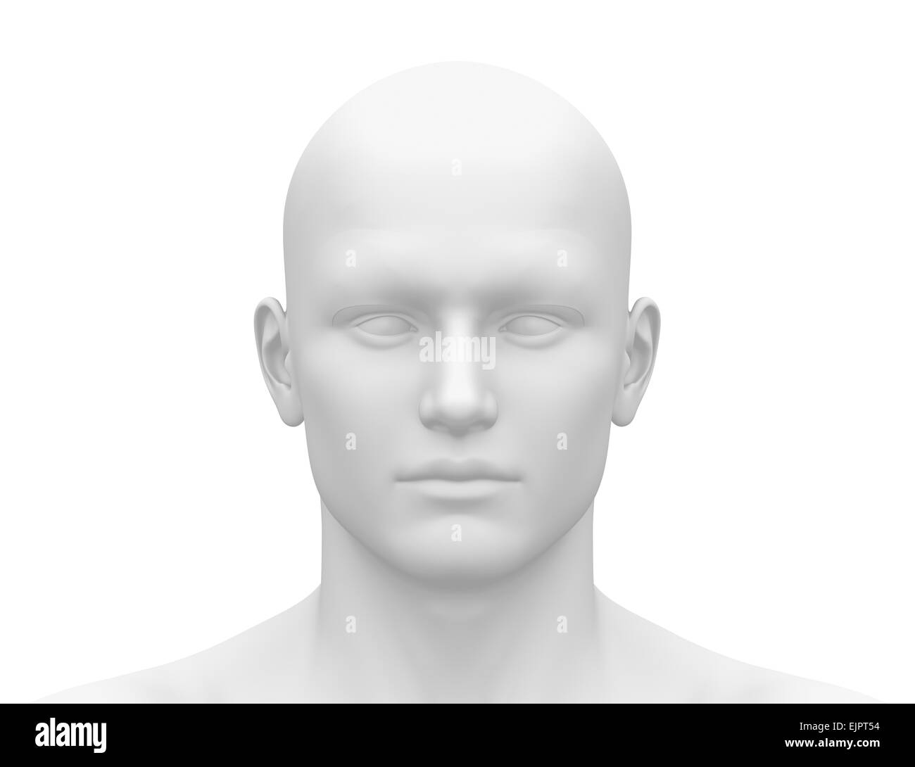Blank White Male Head - Front view Stock Photo - Alamy