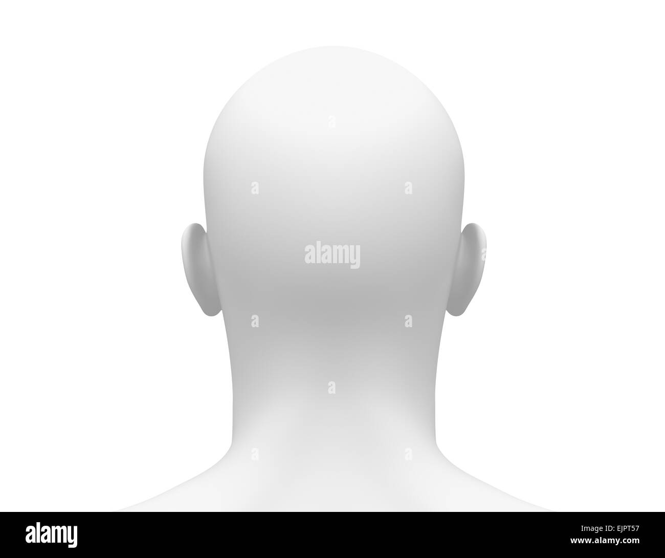 Male anatomy front and back view hi-res stock photography and images ...