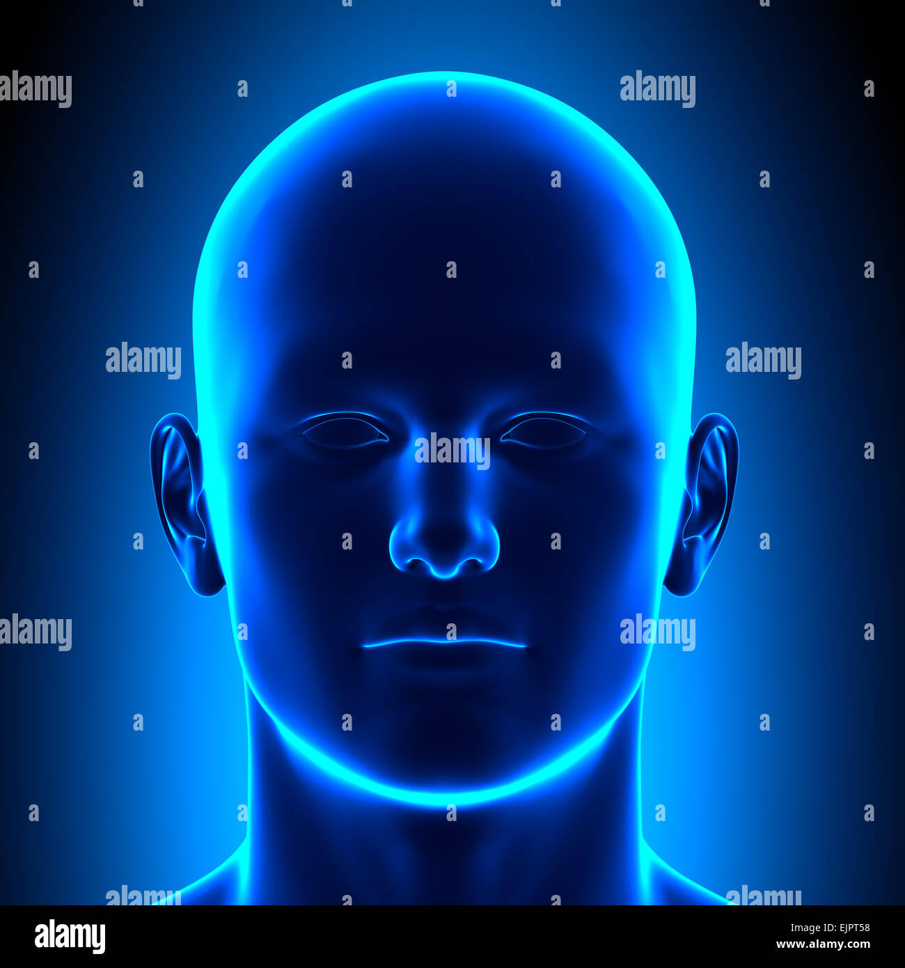 Male anatomy front and back view hi-res stock photography and images ...