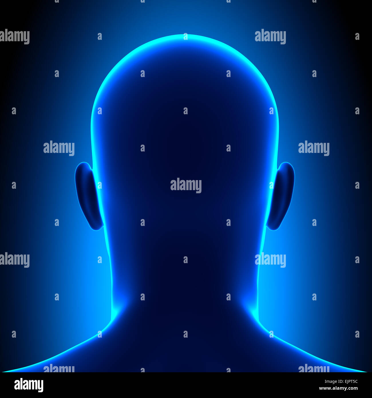 Anatomy Head - Back View - Blue concept Stock Photo - Alamy