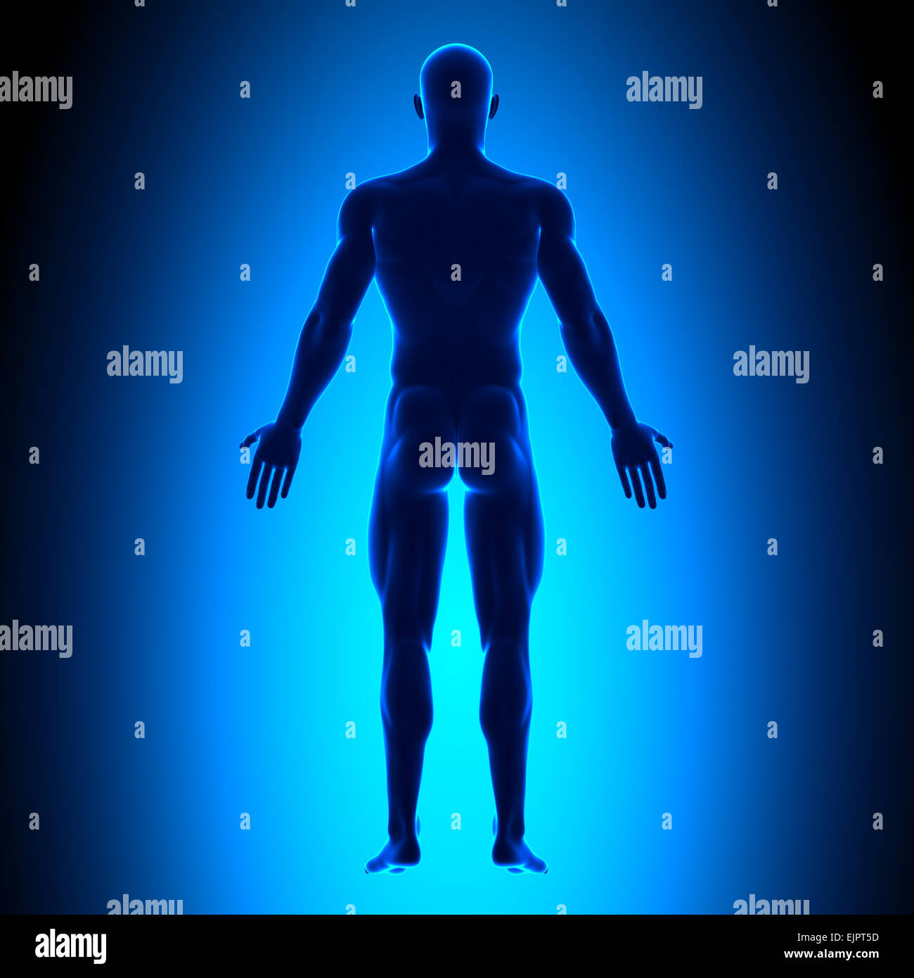 Full Body - Back View - Blue concept Stock Photo - Alamy