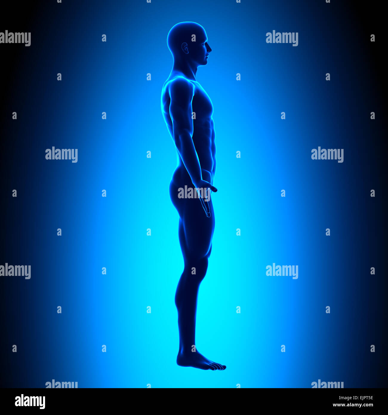Full Body - Side View - Blue concept Stock Photo - Alamy