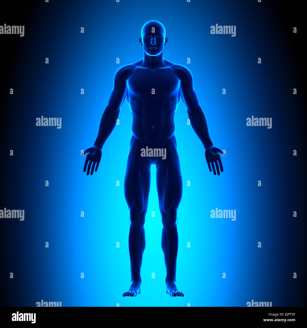 Full Body - Front View - Blue concept Stock Photo - Alamy