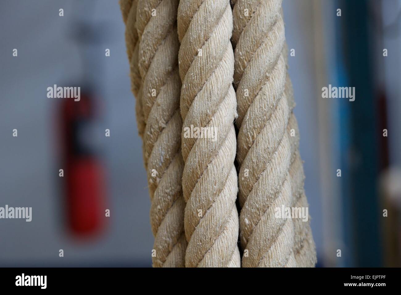 Climbing ropes in gym hi-res stock photography and images - Alamy
