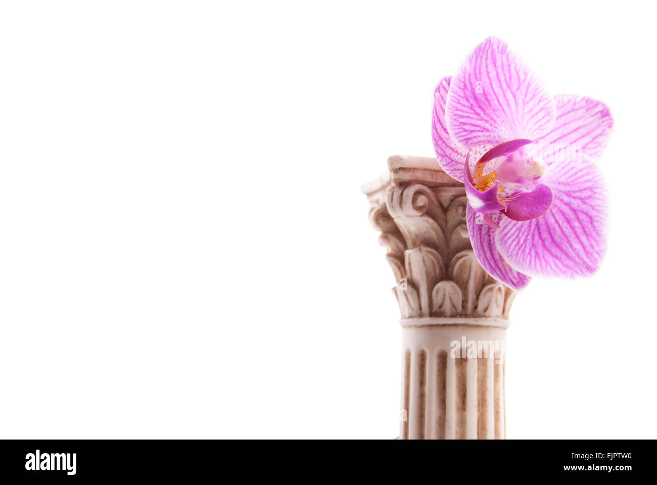 Classical column with flower Stock Photo - Alamy