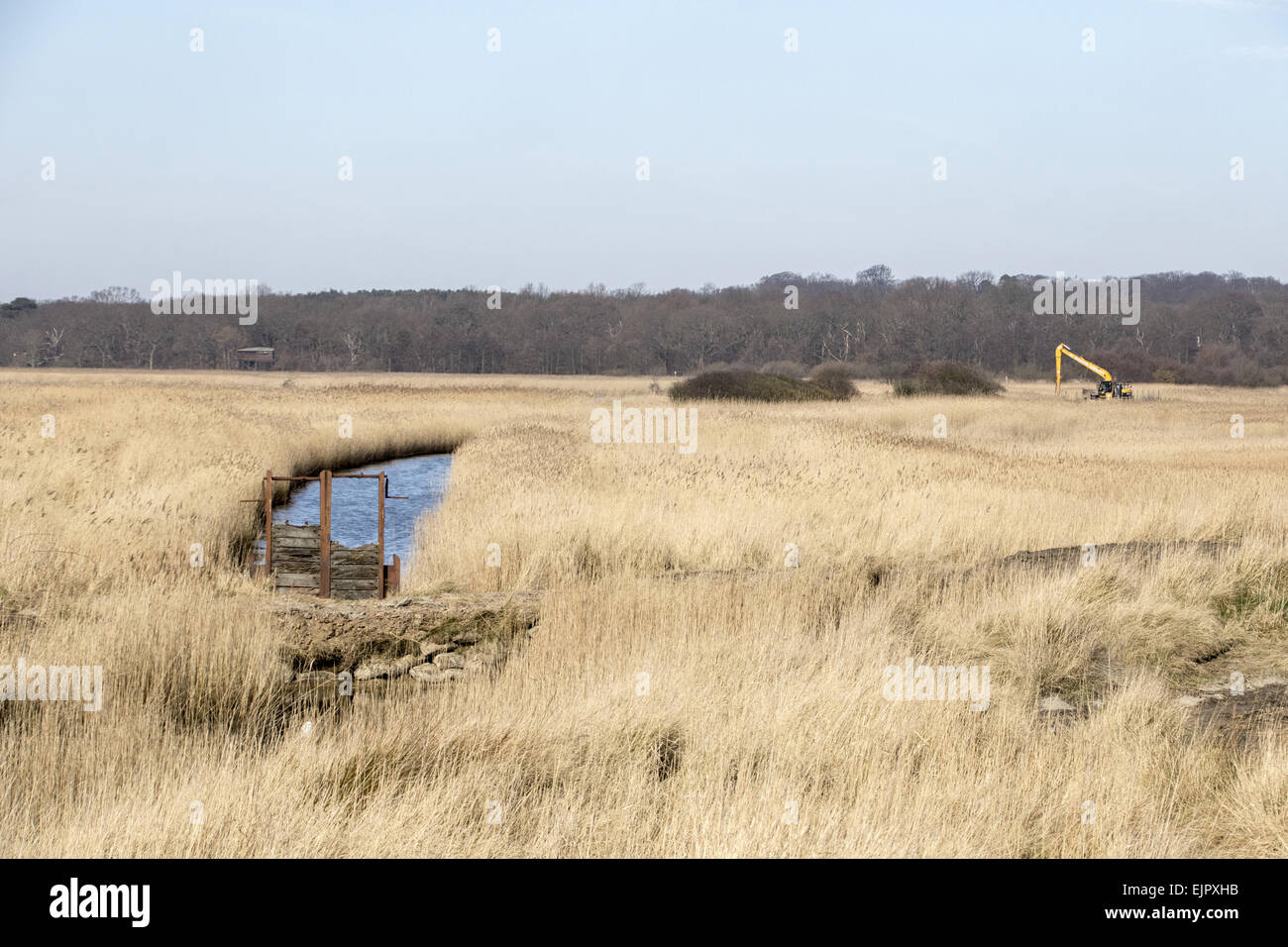 Looking west towards Bittern Hide over reeds and a dyke. Also digger ...