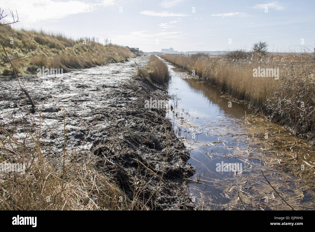Public hide at RSPB Minsmere Suffolk with Sizewell Nuclear Power ...