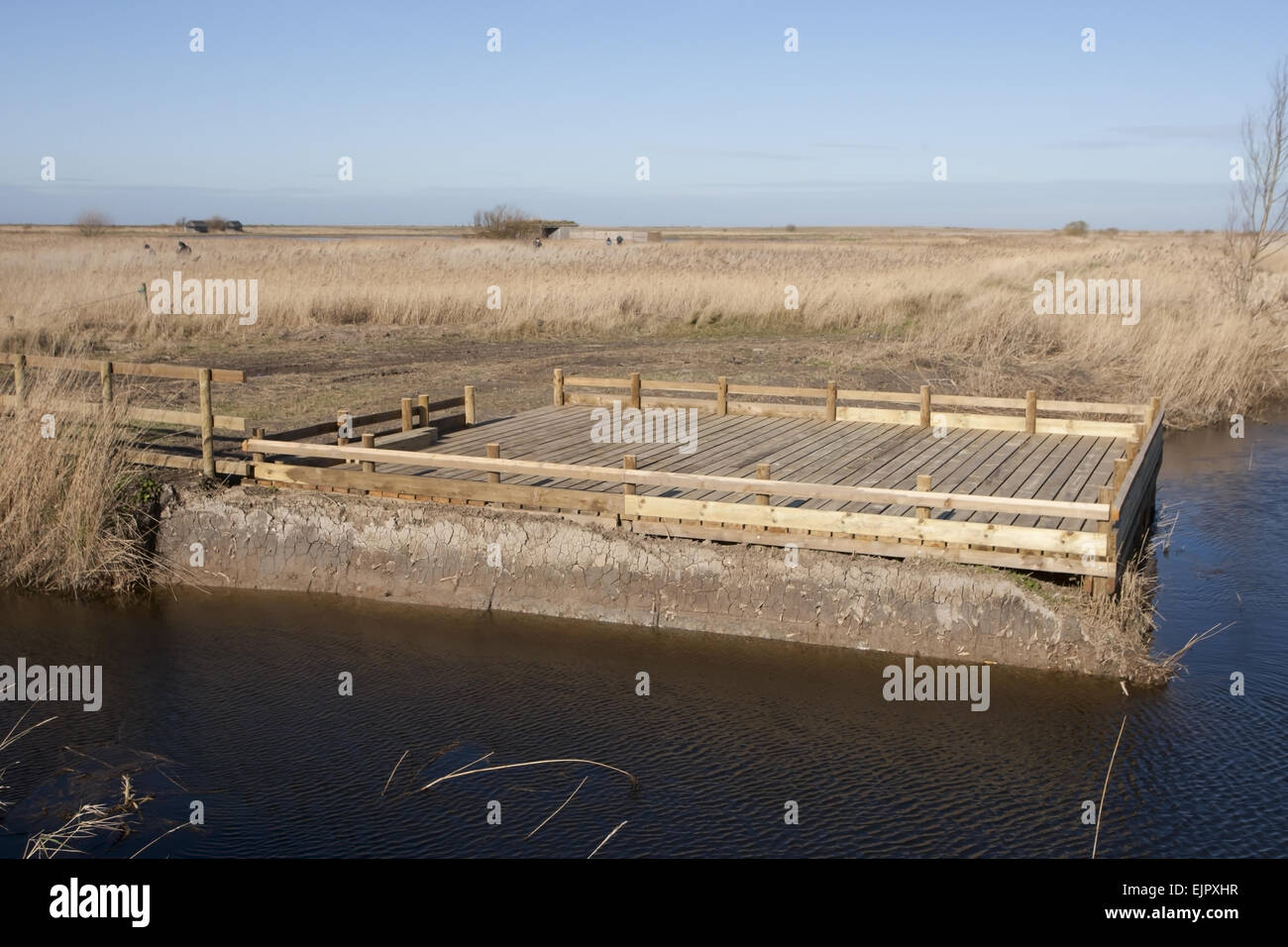 Pond dipping platform hi-res stock photography and images - Alamy