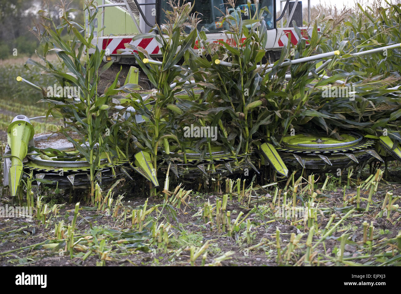 Claas harvesters High Resolution Stock Photography and Images - Alamy