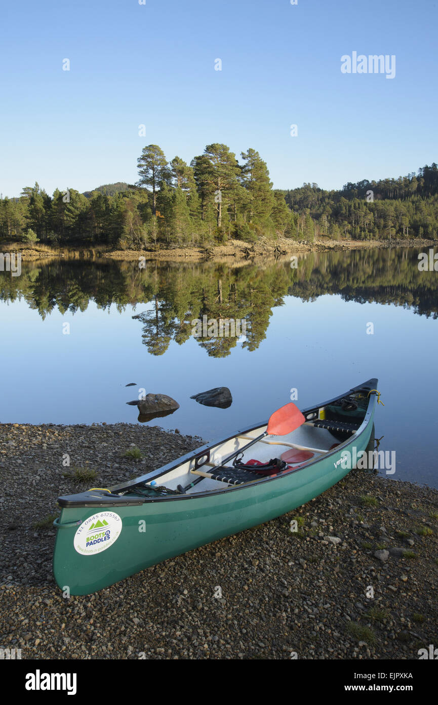 Canoe on shore of freshwater loch, with Scots Pine (Pinus sylvestris ...
