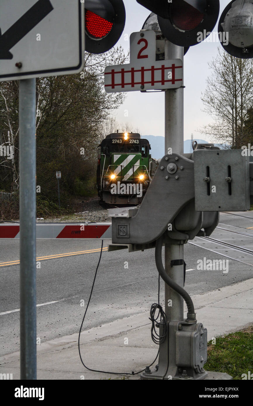 Freight train crossing near Delta Cedar sawmill British Columbia ...