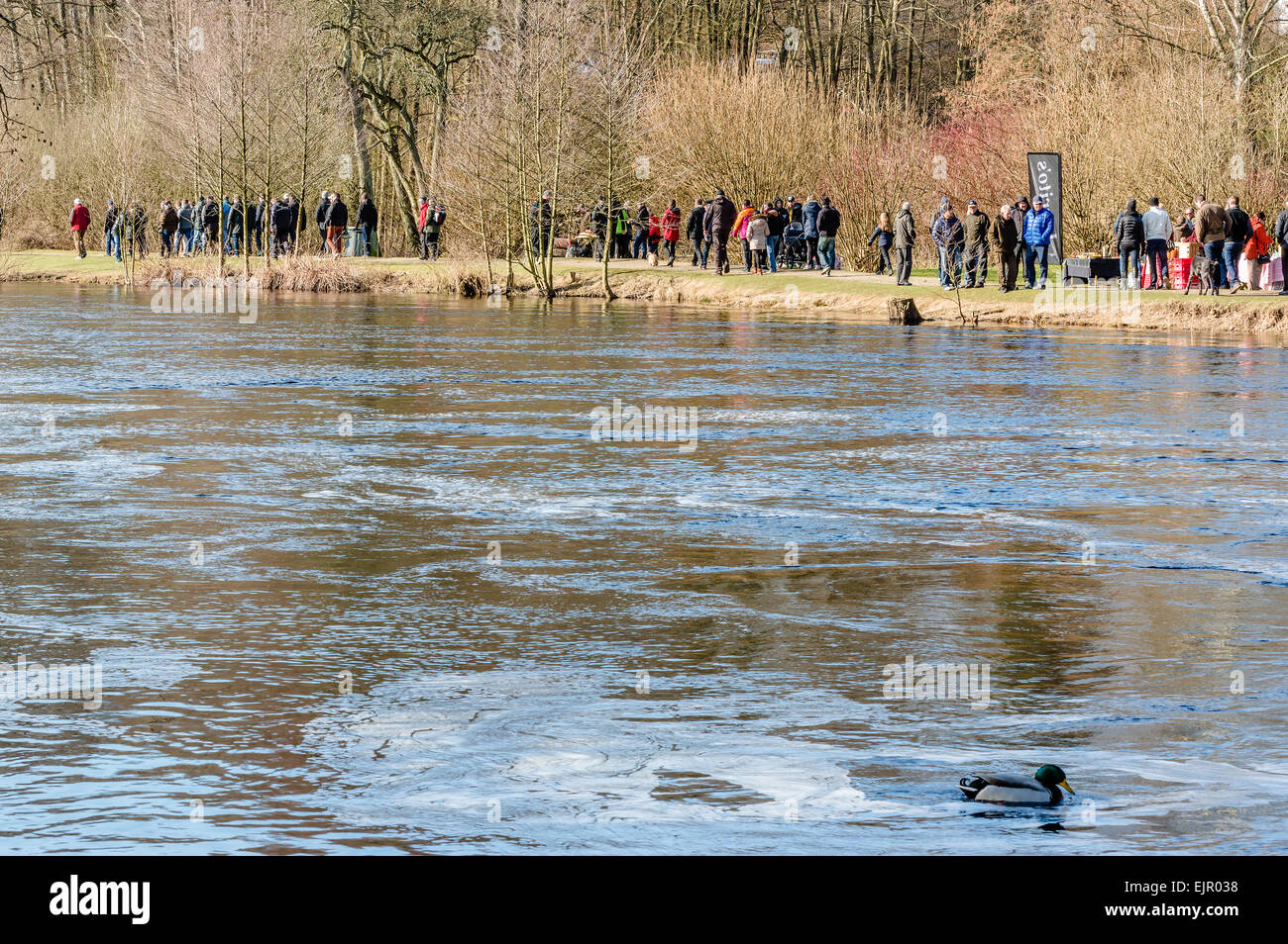 Morrum fishing hi-res stock photography and images - Alamy