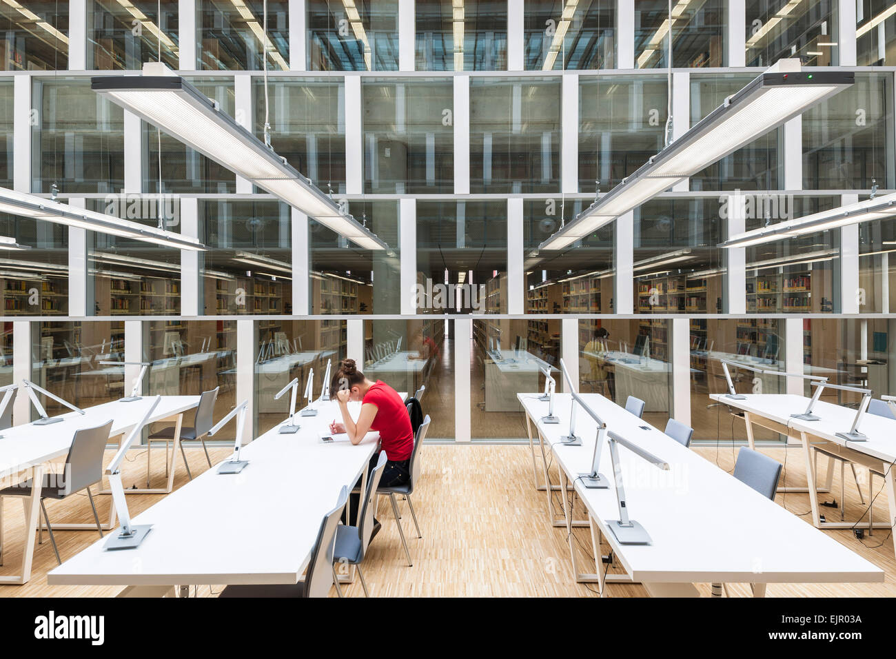 Academic Library High Resolution Stock Photography and Images - Alamy