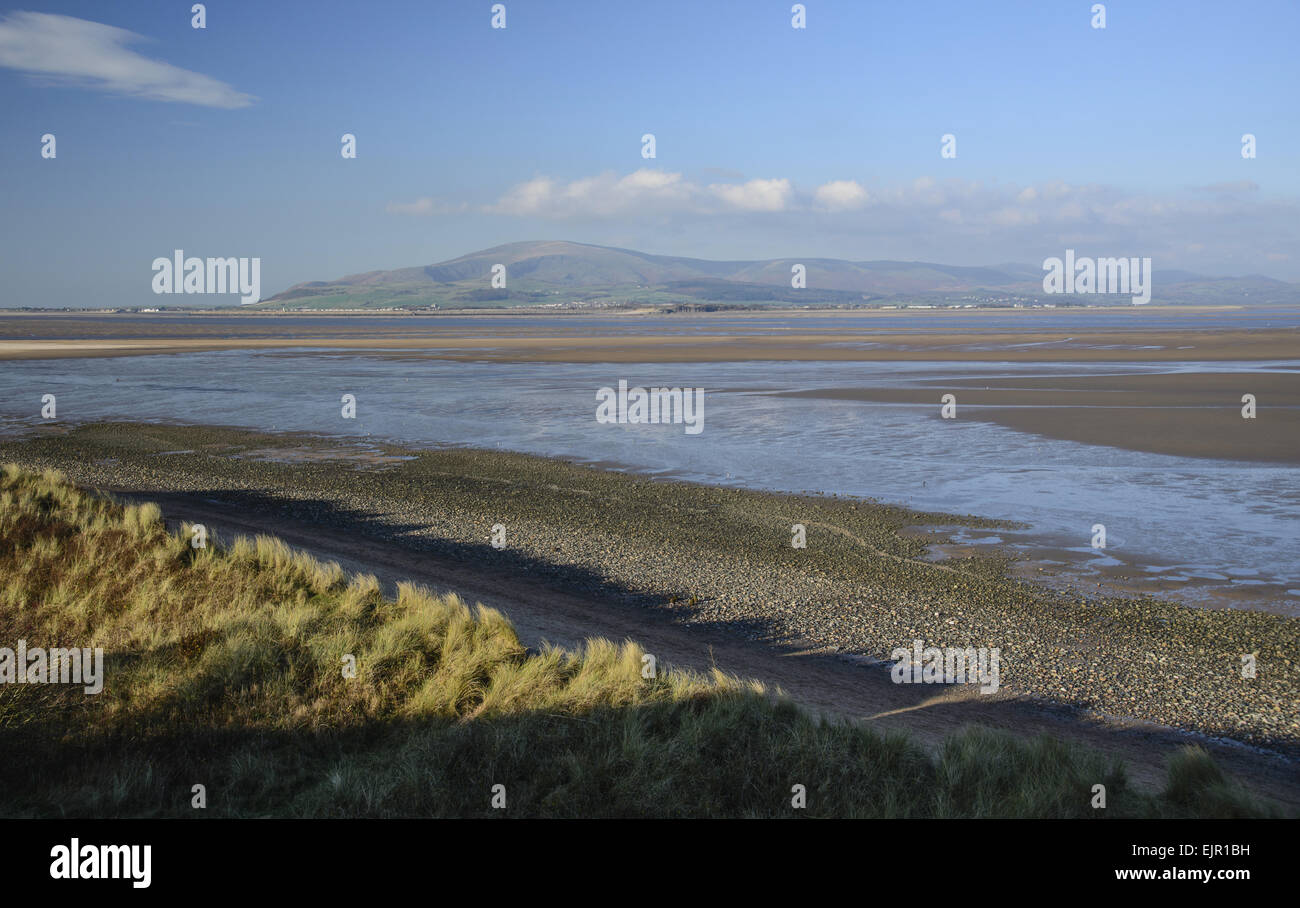 View of sand dunes and estuary, Duddon Sands, Duddon Estuary, Sandscale ...