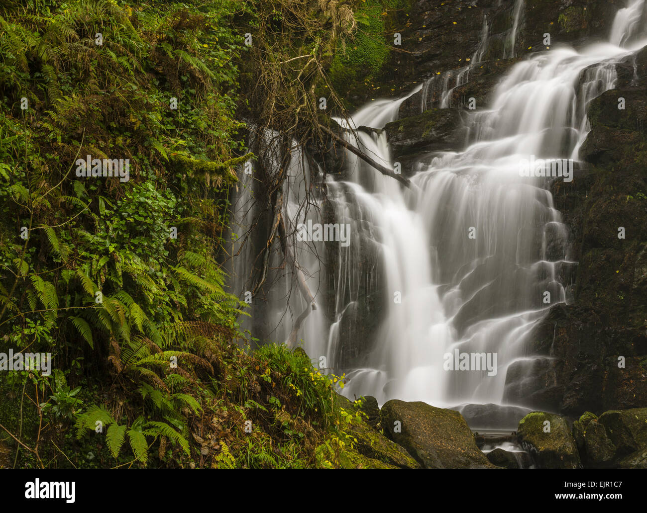View of waterfall, Torc Waterfall, Owengarriff River, Killarney N.P ...