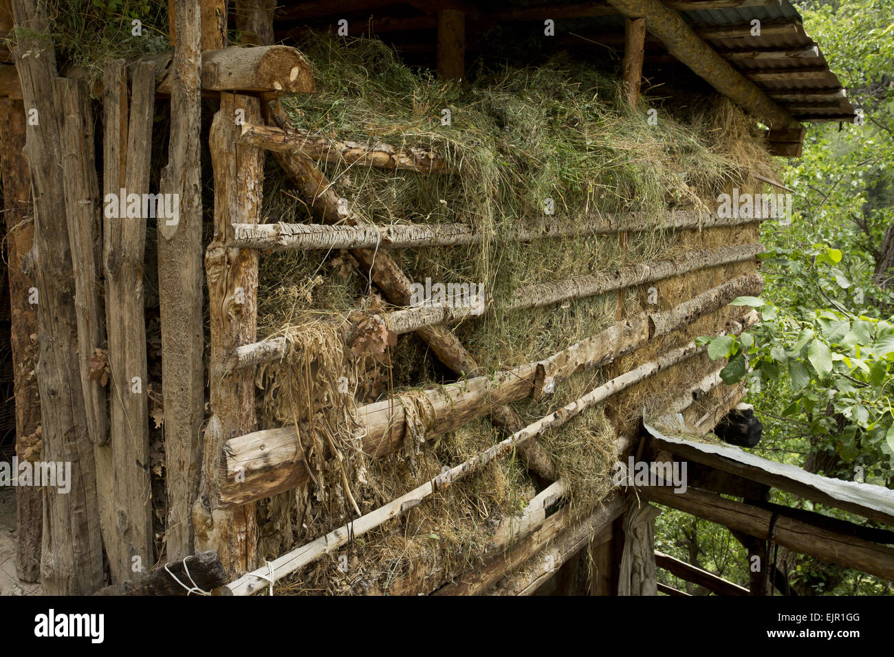 Traditional hay barn in village, Yayla, above Barhal, Pontic Mountains ...