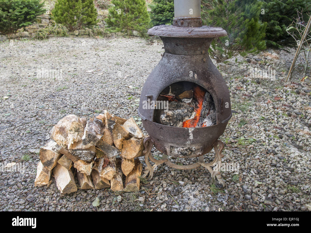 Wood burning stove burning split logs, Waddington, Lancashire, England ...