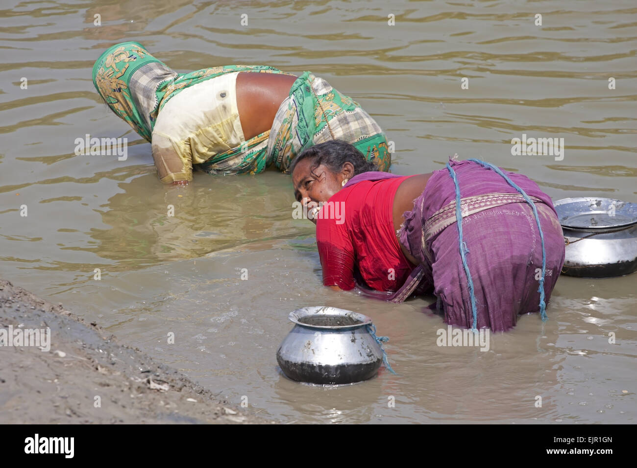 Woman subsistence fishing by touch of hand, Sundarbans, Ganges Delta ...