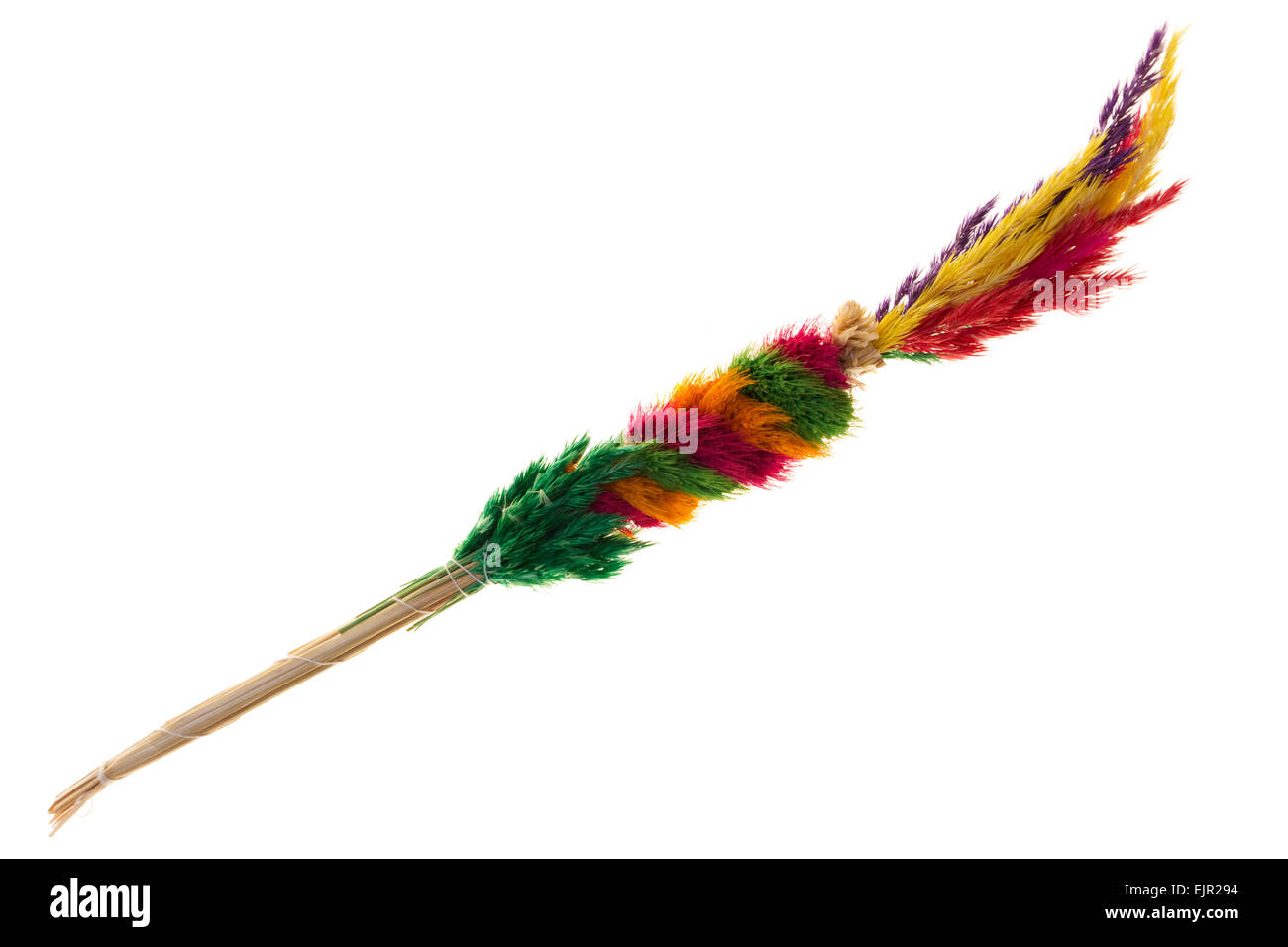 Palm flower Cut Out Stock Images & Pictures - Alamy