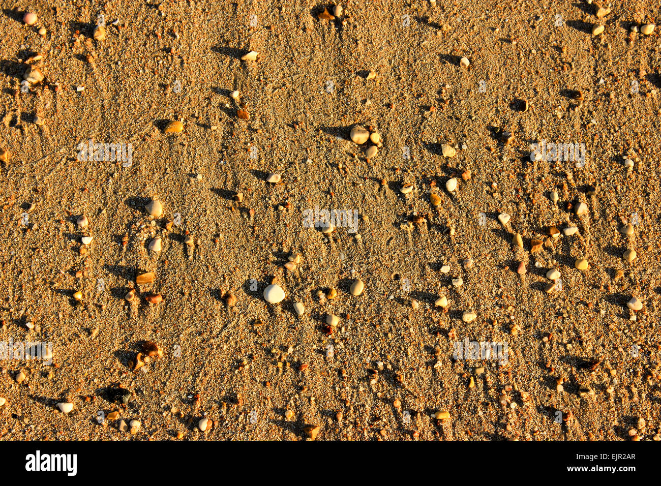 Beach Pebble Background at Sundown. Brown Beach Sand and Stones at Sun ...
