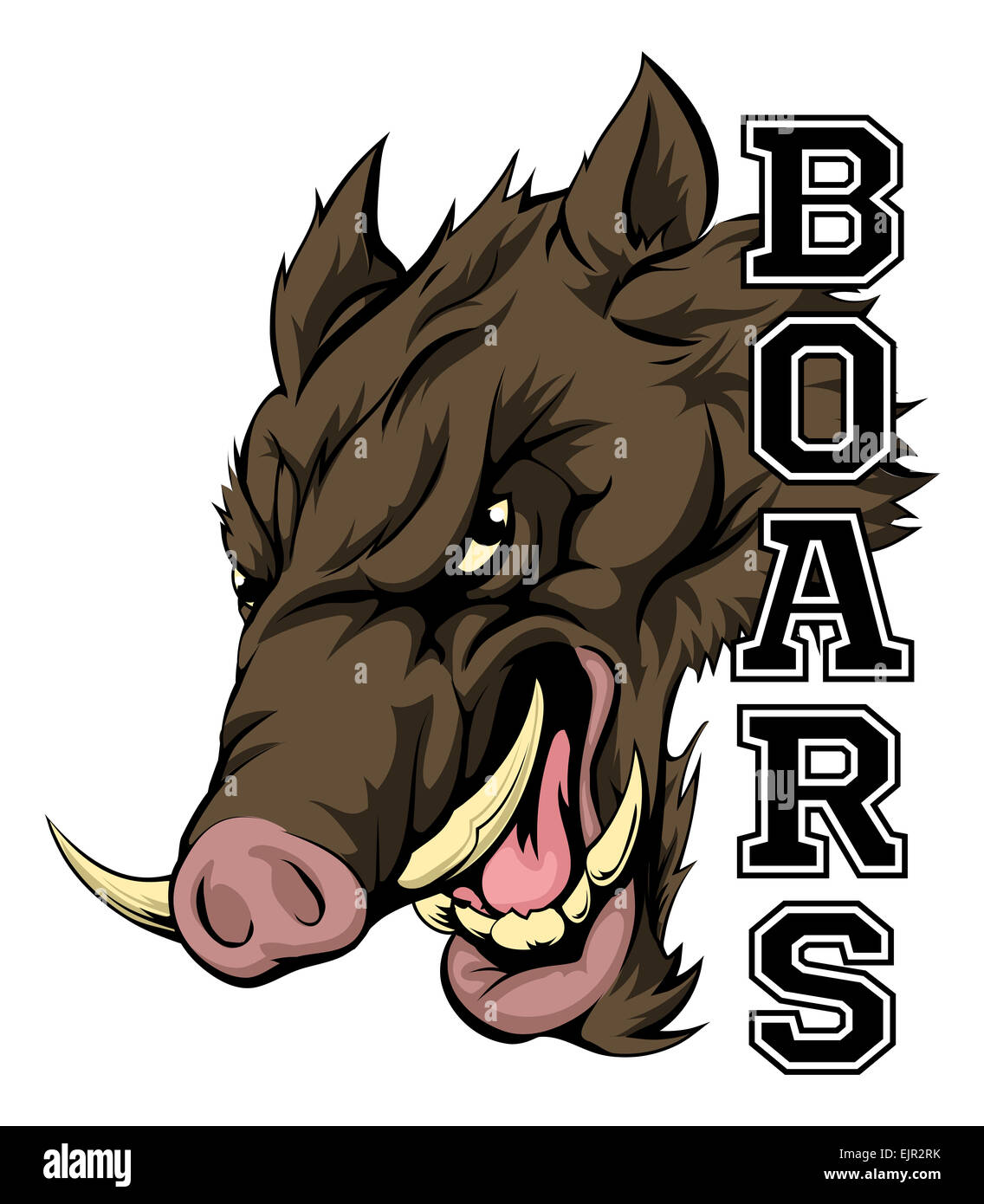 An illustration of a boar sports mascot head with the word boars Stock ...