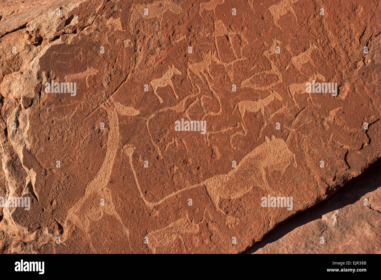 Prehistoric petroglyphs, rock engravings, Twyfelfontein, Namibia Stock ...