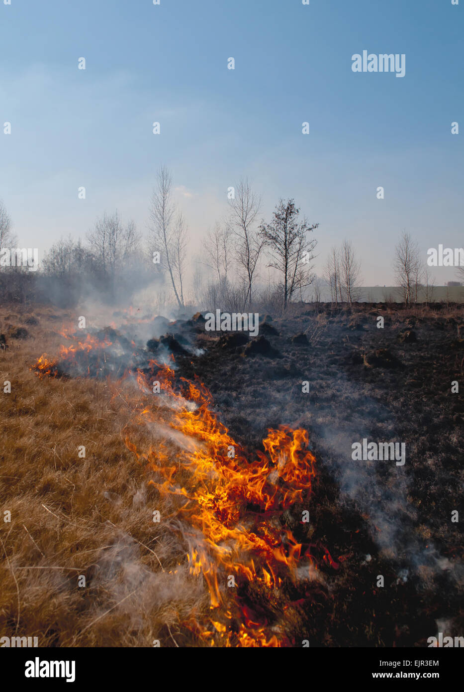 fire on spring field Stock Photo - Alamy