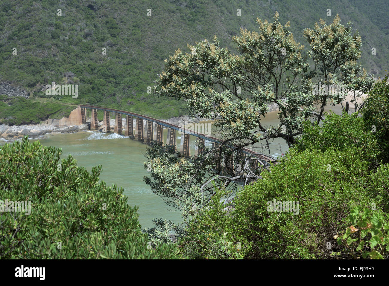 railway bridge over Kaaimans River, South Africa Stock Photo - Alamy