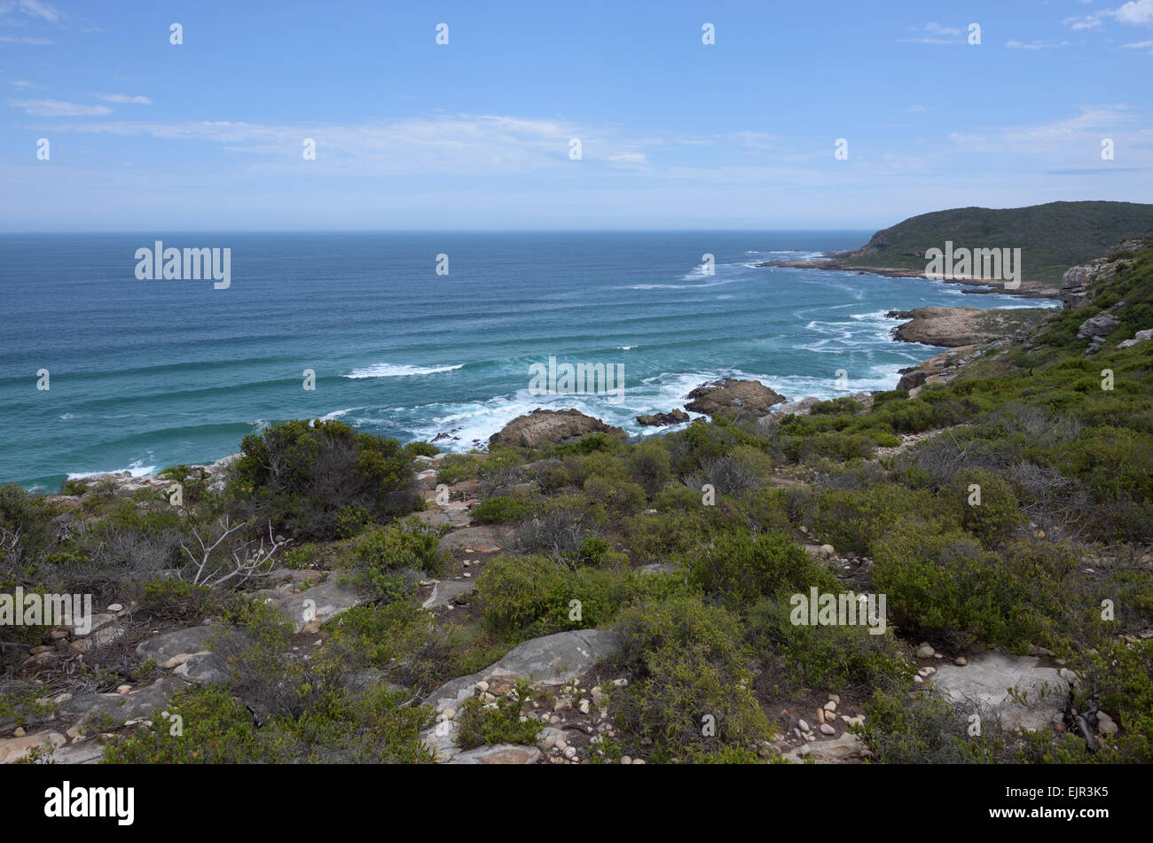 nature reserve Robberg peninsula, South Africa Stock Photo - Alamy