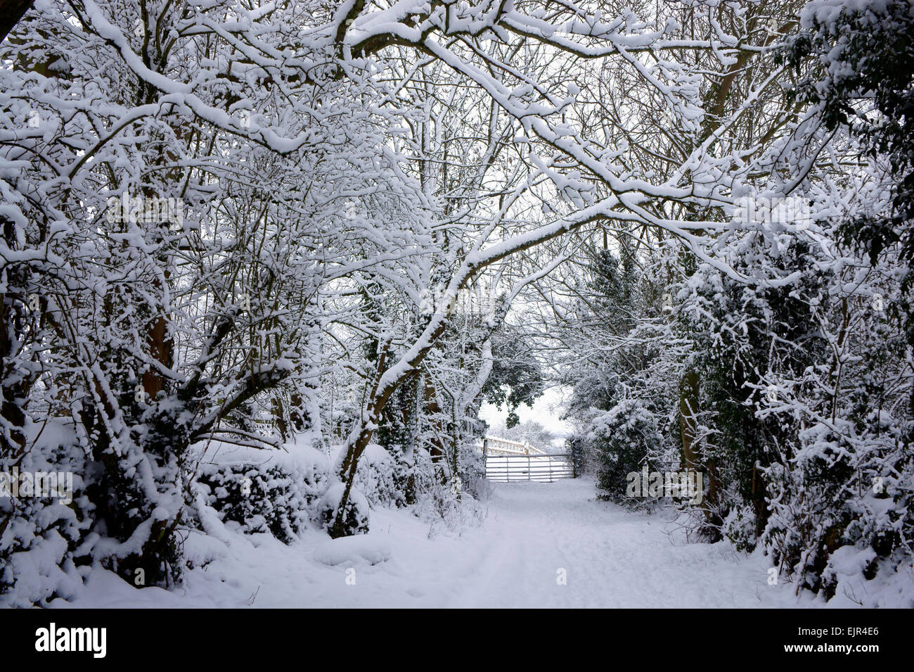 Snow covered footpath route in the Oxfordshire countryside Stock Photo ...