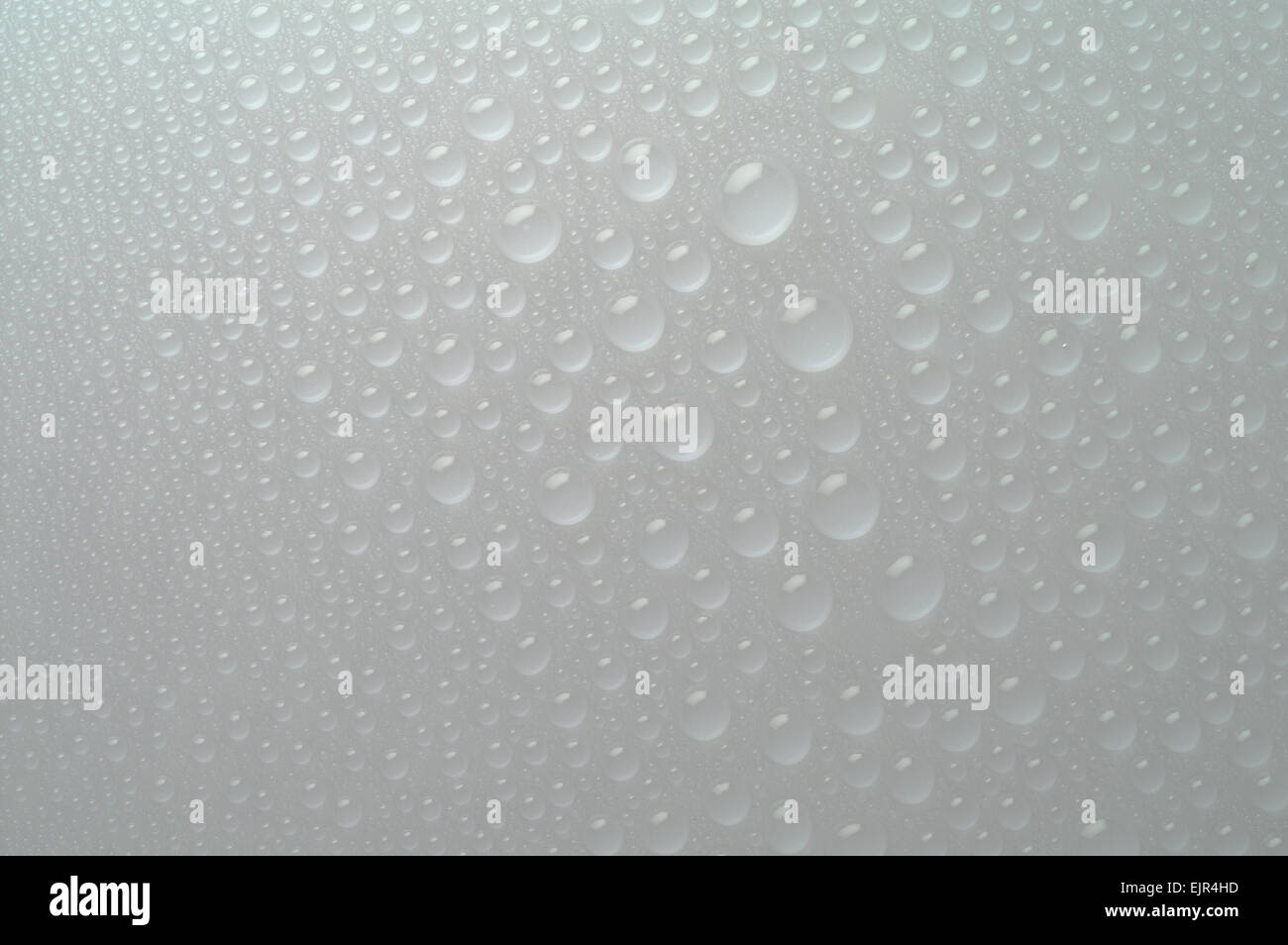Droplets in gray background Stock Photo - Alamy