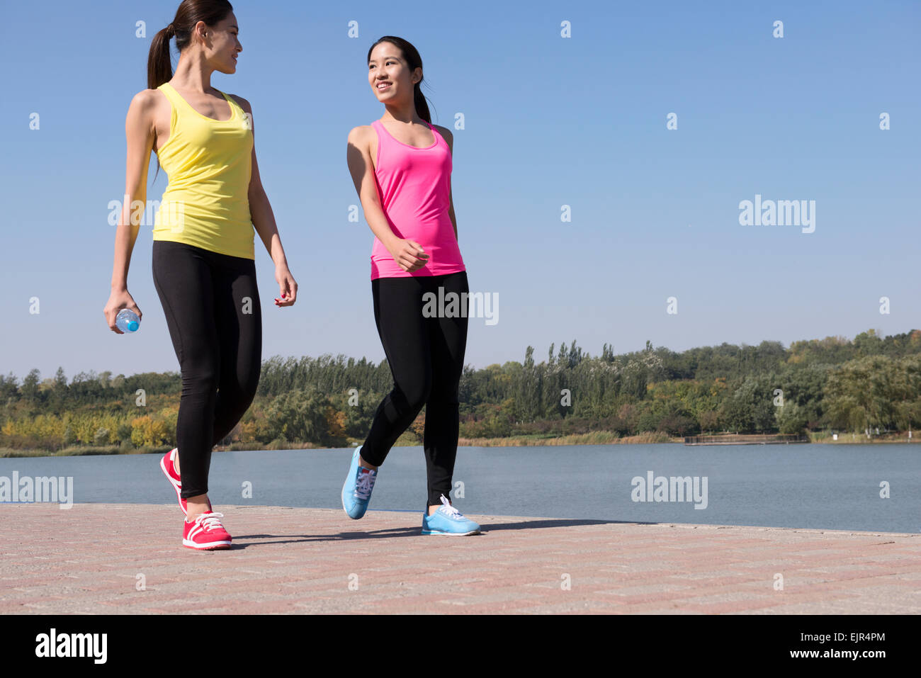 Girlfriends exercising together Stock Photo - Alamy