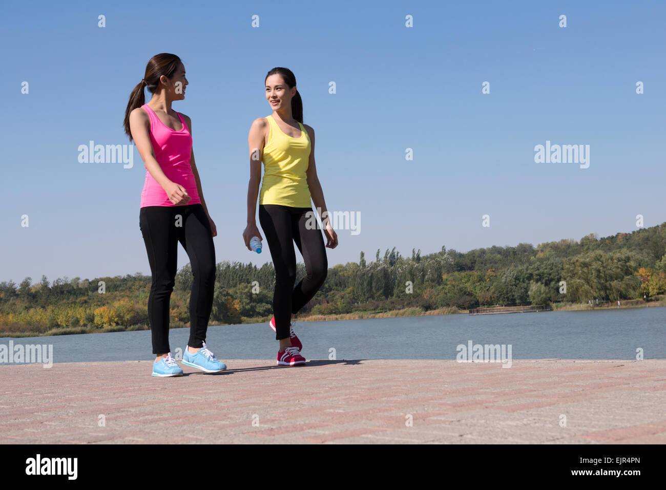 Girlfriends exercising together Stock Photo - Alamy