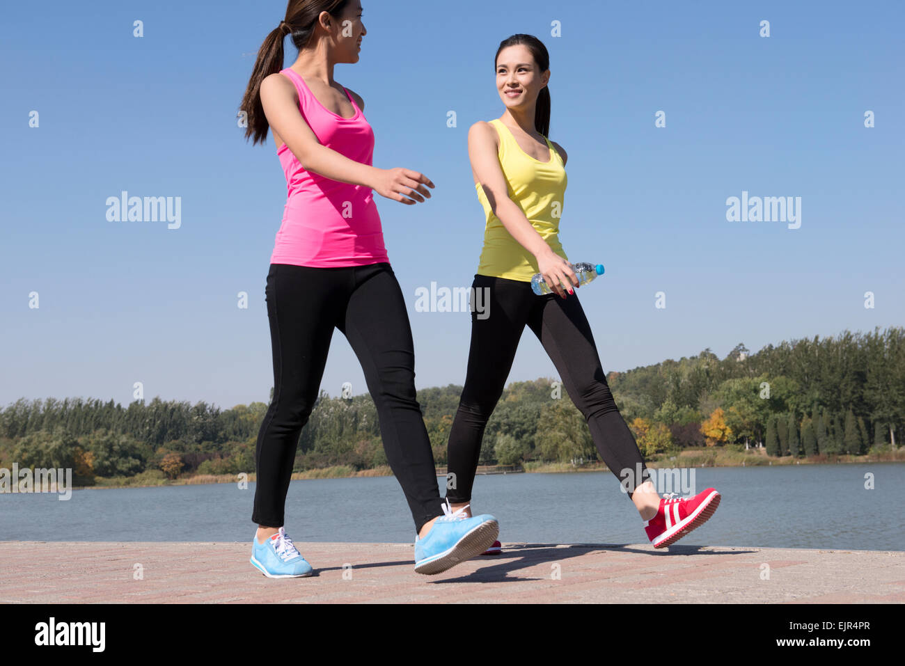 Girlfriends exercising together Stock Photo - Alamy