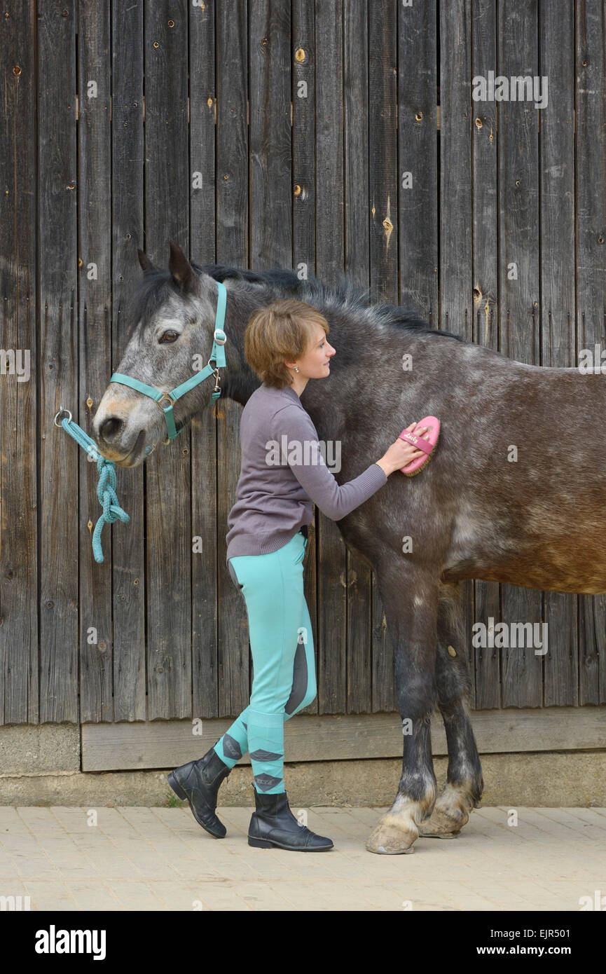Girl grooming horse hi-res stock photography and images - Alamy