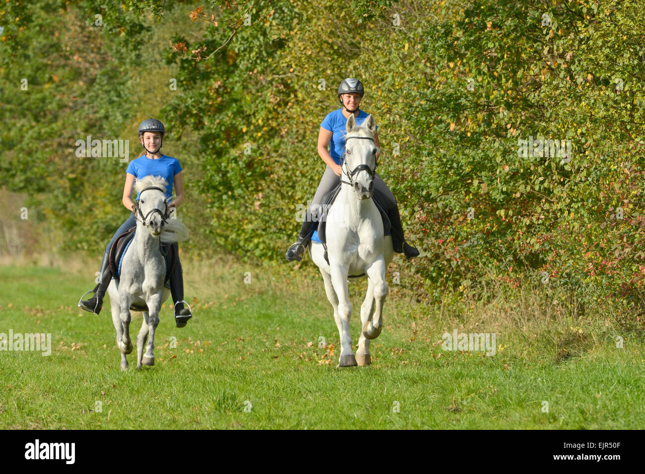 Two riders galloping in a meadow Stock Photo - Alamy